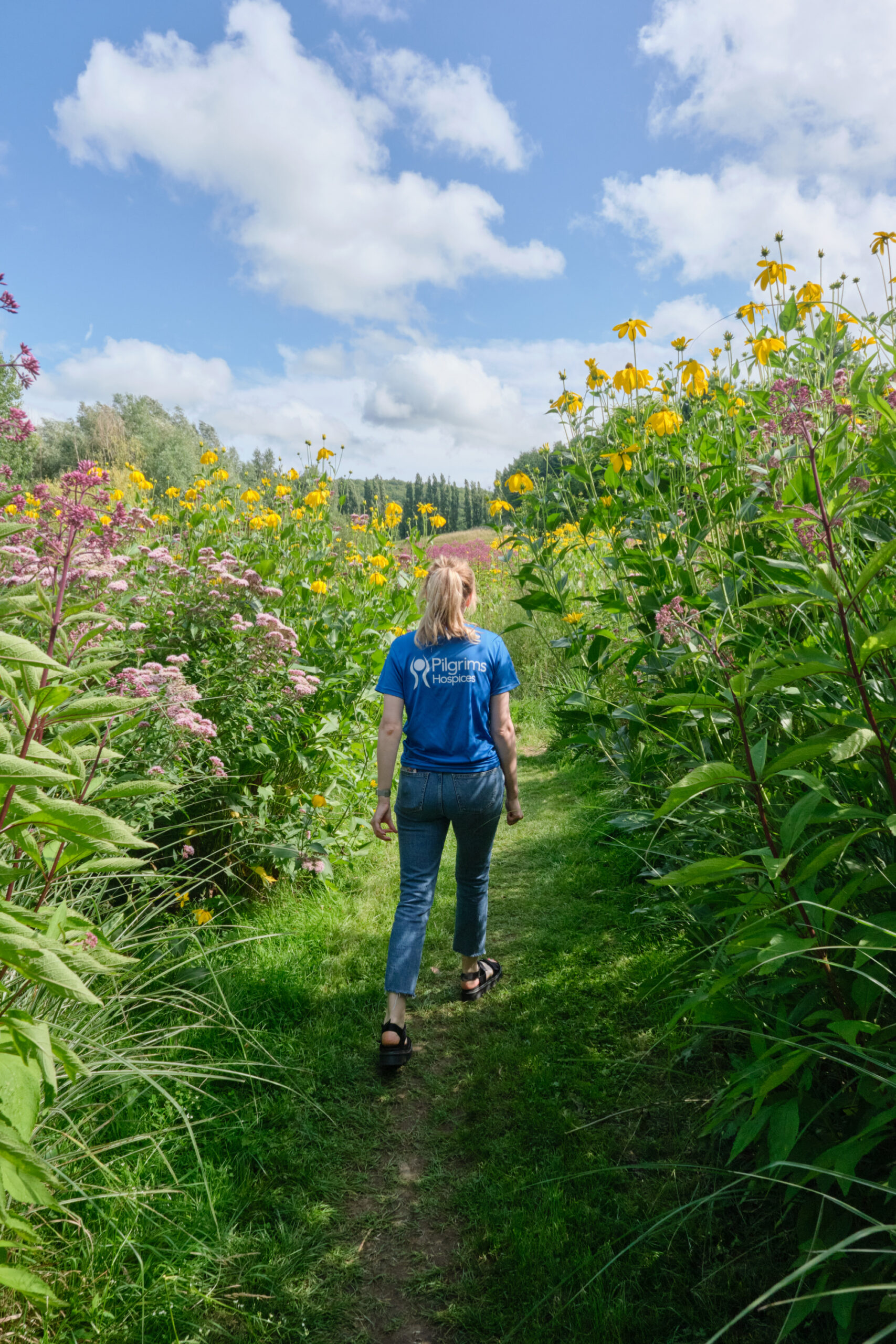 Pilgrims Garden Festival brought summer fun for all the family ...
