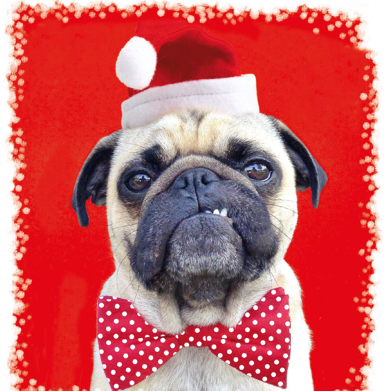 Shop with us - Pilgrims Hospices