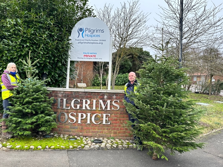 Pilgrims Hospices Tree Recycling initiative a resounding success ...